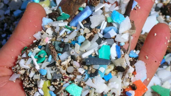 Microplastics detected in preterm placentas; What it means for infant ...