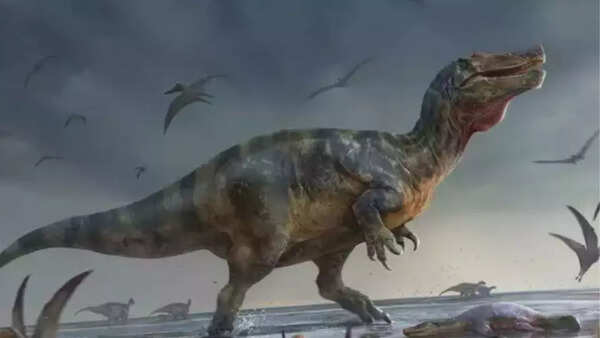 The new discovery tells about the actual origins of dinosaurs - The ...