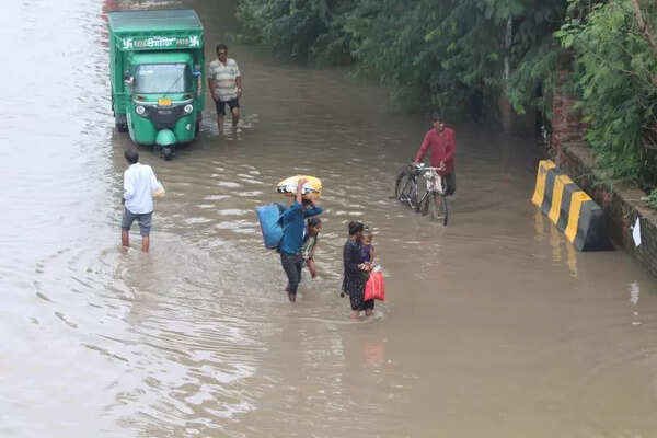 MCG CEO Stuart Fox: 'We're going to go well over 2,50,000 through the ...
