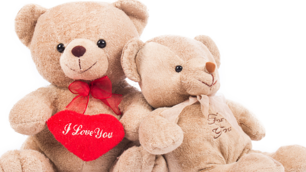 Teddy Quotes