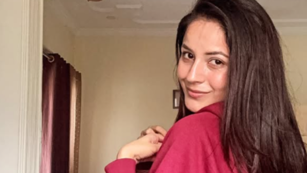 Haanji video: Bhumi Pednekar, Shehnaaz Gill show off their moves in new ...