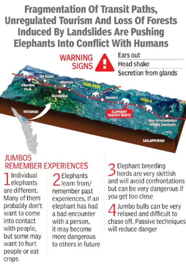 Kerala’s fragmented elephant transit routes fuel rising human-wildlife ...