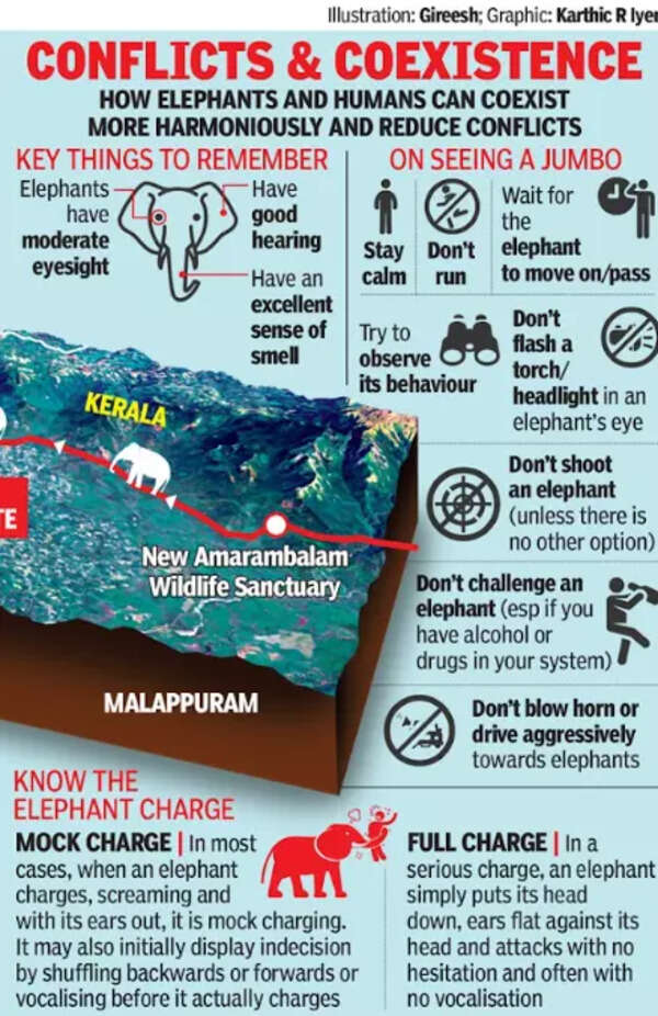 Kerala’s fragmented elephant transit routes fuel rising human-wildlife ...