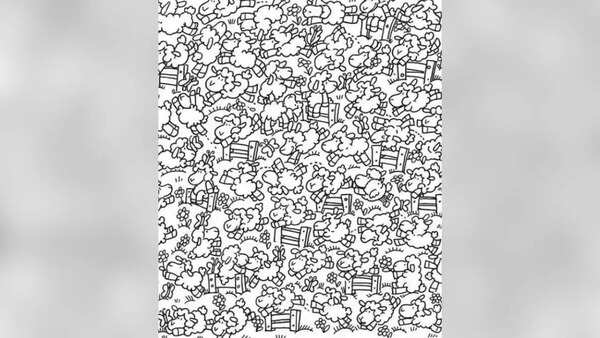 Optical illusion: Only a person with high observation skills can spot ...