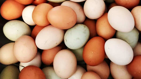 Desi eggs vs. regular eggs: Which is healthier? - The Times of India
