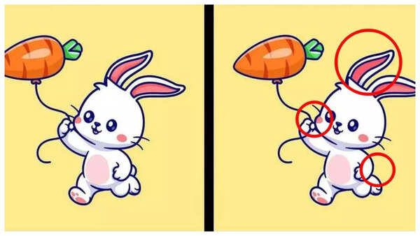 Optical illusion: Only those with 20/20 vision can spot 3 differences ...