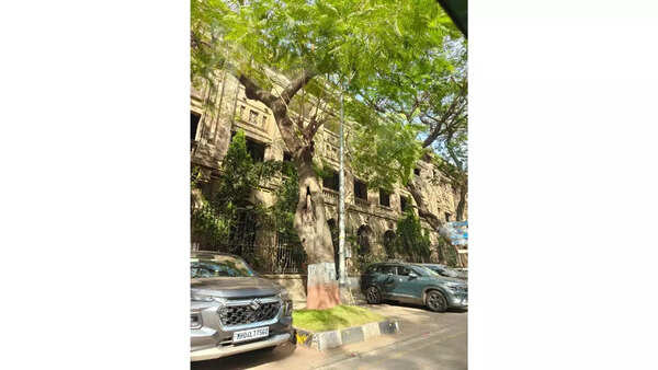 OnePlus 13R review: Flagship goes affordable - The Times of India