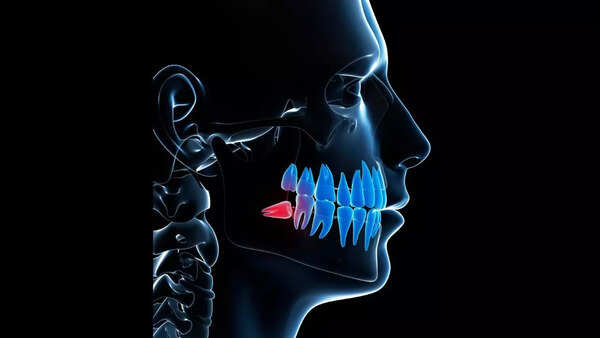 Human Evolution: Humans are still evolving: And are literally losing ...