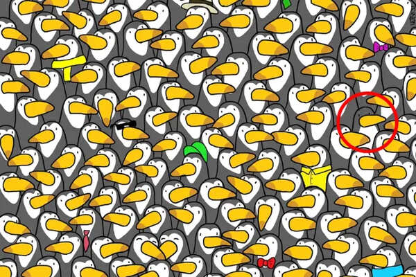 Optical illusion: Only a person with perfect eyesight can spot the cute ...