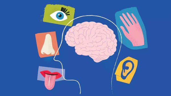 Can human skin taste things? The answer may surprise you - The Times of ...