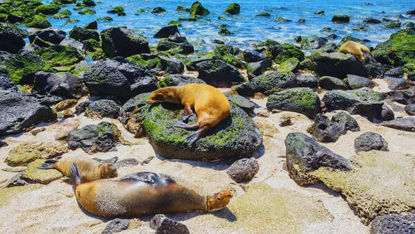 8 leading ecotourism destinations in the world to visit this year ...