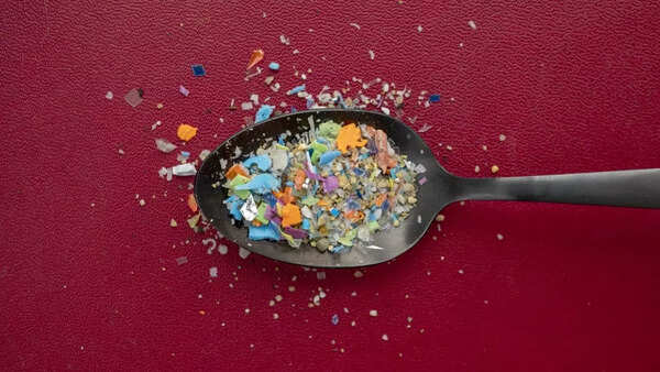 Are microplastics turning bacteria into antibiotic-resistant superbugs ...