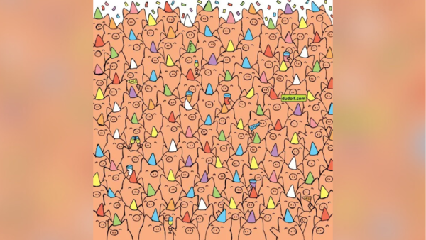 Optical illusion: Only a person with perfect eyesight can spot 3 pigs ...