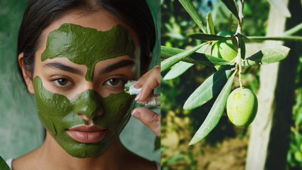 Mango Leaves Benefits: Emerging benefits of mango leaves for skin ...