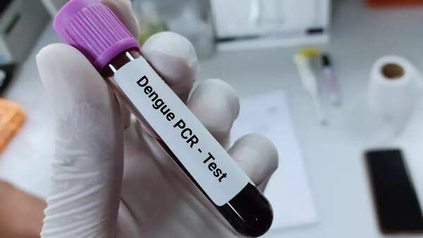 Dengue Fever Symptoms: CDC alerts about dengue fever threat: Know the ...