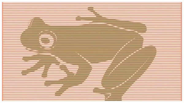 Optical illusion: Only a genius can spot the hidden animal in 5 seconds ...