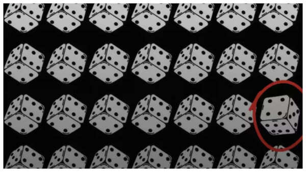 Optical illusion: Only a genius can spot the odd dice in 3 seconds ...