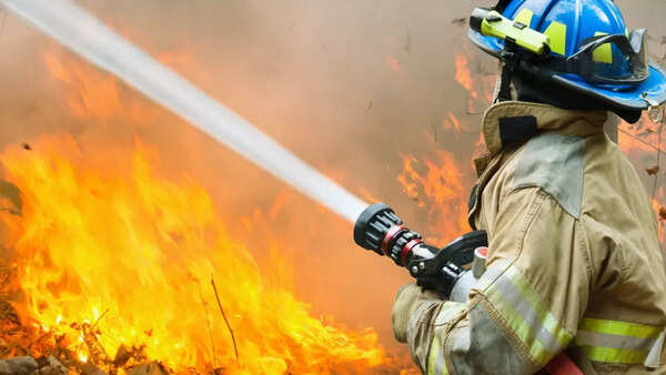 Wildfires Burn U.S. Again; Emergency Declared In North Carolina | 1,600 Acres Of Land On Fire