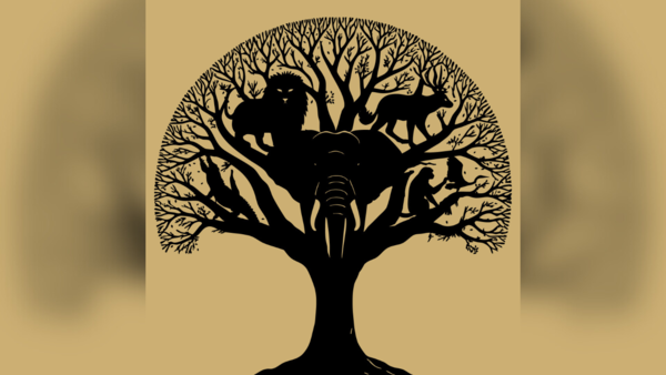 Amid 'Animal's massive success; Aamir Khan's old video speaking against ...