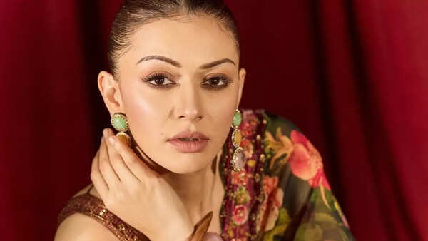 Hansika Motwani celebrates first wedding anniversary with Sohail ...