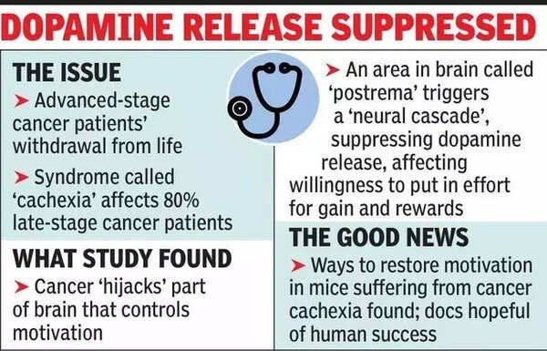 Cancer ‘hijacks’ patient’s brain, finds US research, Kolkata doctors ...