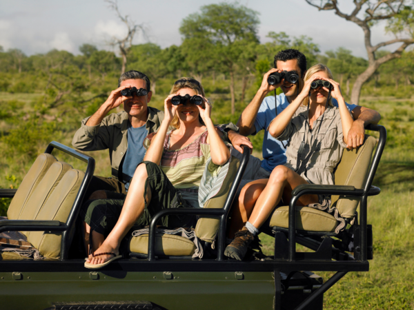 5 tips to spot animals hiding in plain sight during safari | - Times of ...