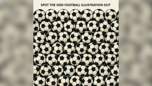 Optical illusion: Only the sharpest and most creative person in the ...