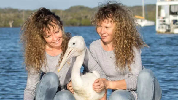 ‘World’s weirdest TV interview?’: Twins go viral for bizarrely synced ...