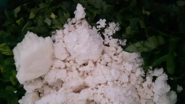 Fake vs real paneer: How to spot the difference without iodine - Times ...