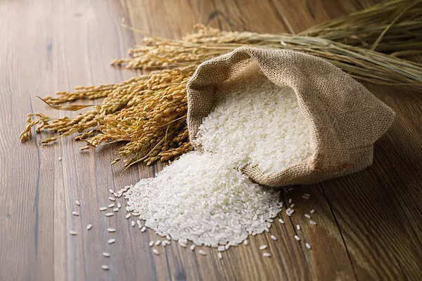 Wheat vs rice: Which is healthier and why | - Times of India