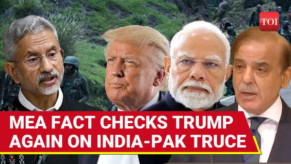 'Split The Territory...': West Has New ‘Divide Ukraine’ Plan ...