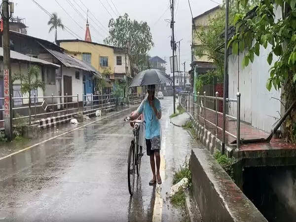 Unexpected Pre-Monsoon Rainfall Disrupts Maintenance Work and Raises Crop Concerns in Colva ...