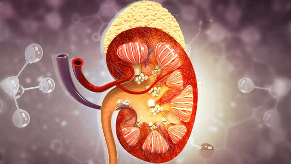 Kidney Stones Symptoms: 5 signs and symptoms of kidney stones that ...