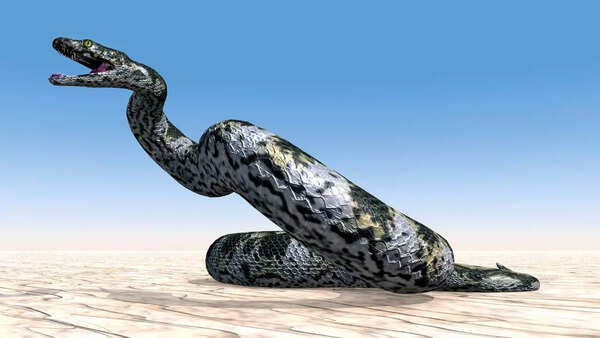7 largest snakes to have ever existed on Earth | - Times of India