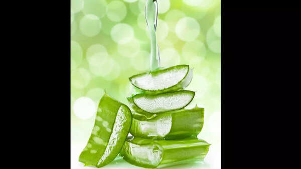 Is aloe vera safe for you? Health benefits and potential risks you need to know | - Times of India
