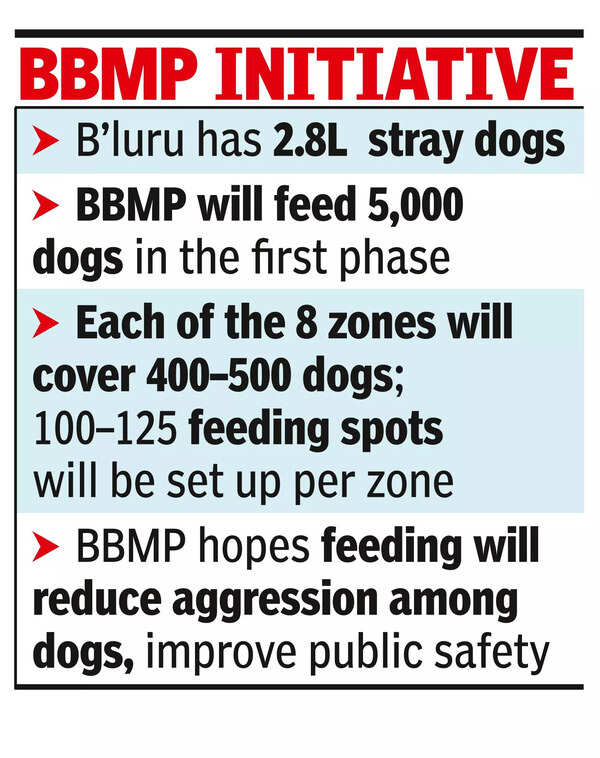 Bengaluru Stray Dog News: Now stray dogs in Bengaluru to be fed chicken ...