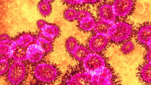 What is Nipah virus? Causes, symptoms and preventive measures for this deadly threat | - Times ...