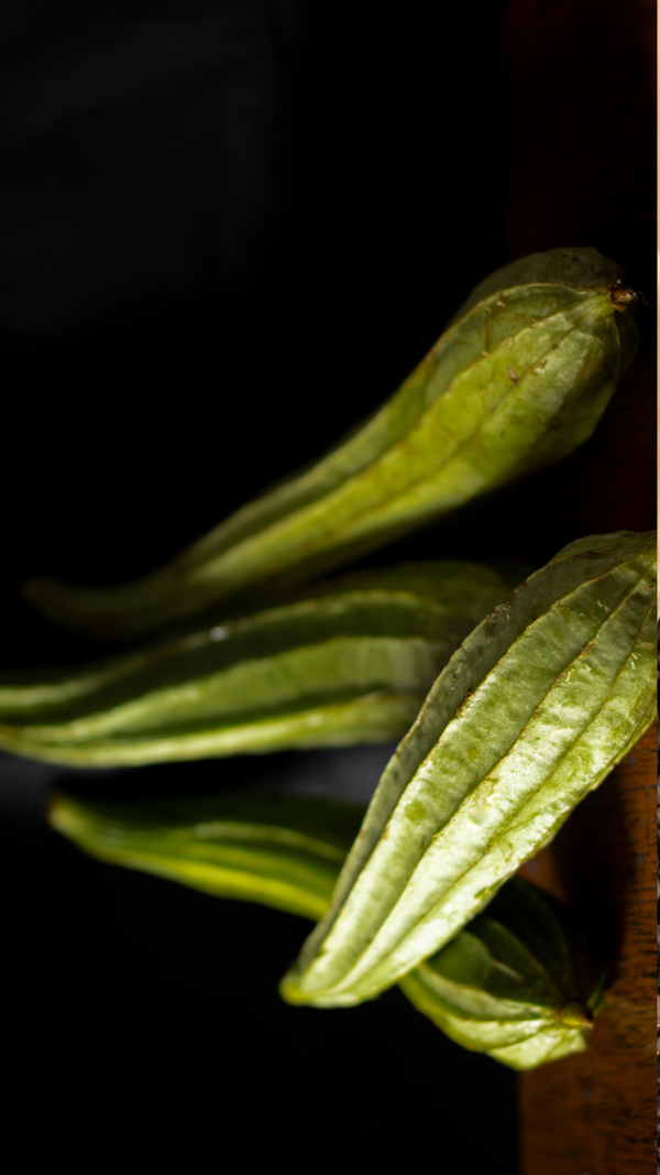 Ayisha Movie Review: A poignant story of an amazing woman