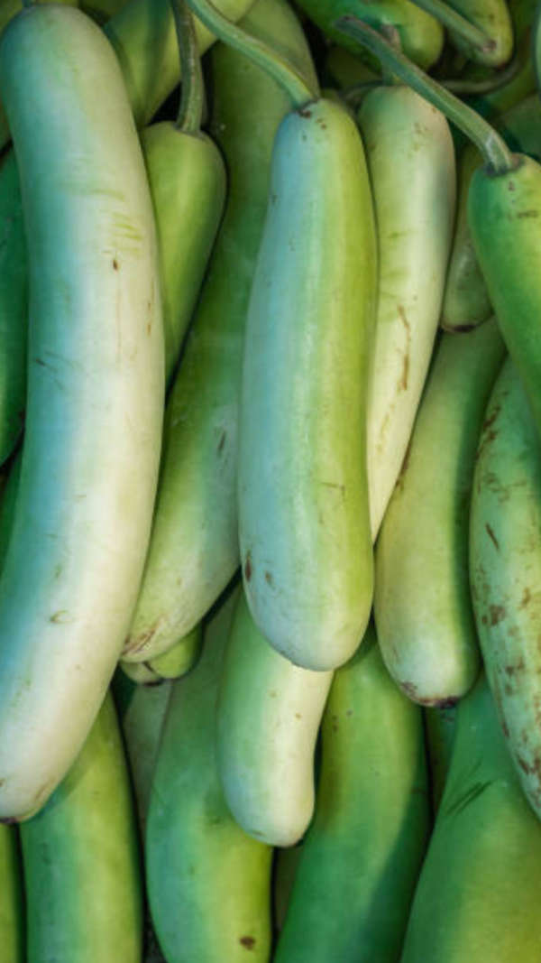 What is Goa Feni, Types, Taste and How to Make it | The Interesting ...