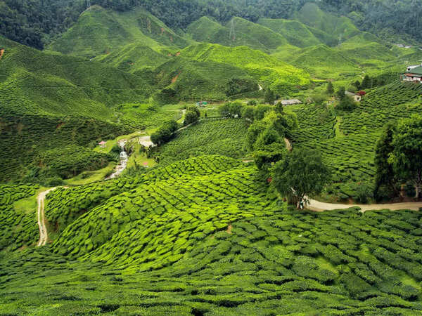 Munnar