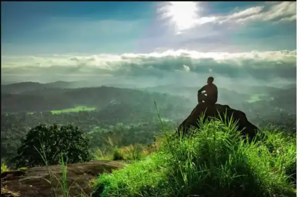 Wayanad
