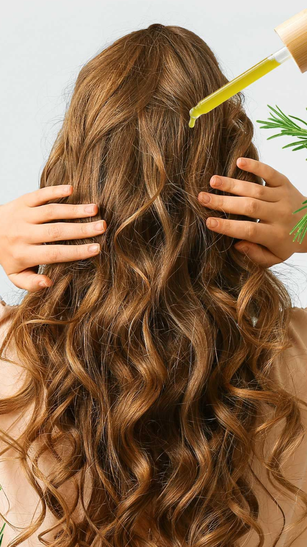 5 Ancient predators that ruled the earth before dinosaurs