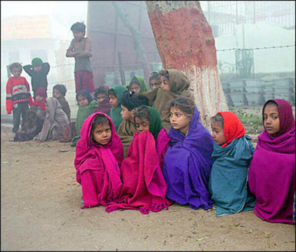 Cold wave in north India kills over 150 | India News - Times of India