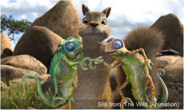The Wild (Animation) | undefined Movie News - Times of India