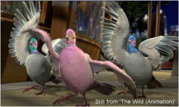 The Wild (Animation) | undefined Movie News - Times of India