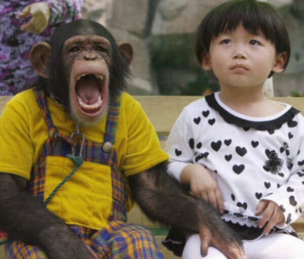 The day in pics: May 2 - Times of India