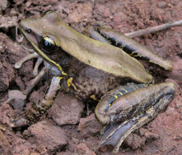 The day in pics: May 23 - Times of India