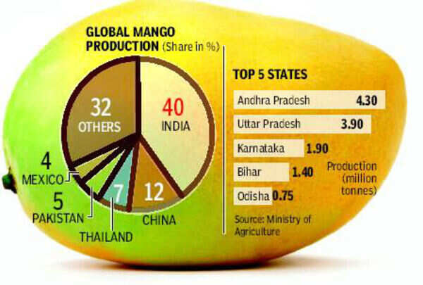 Science, policy tie up to make mango 'aam' - Times of India