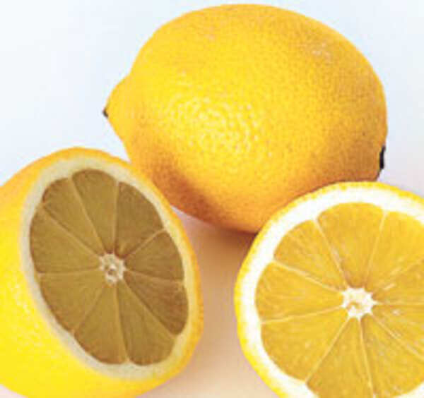 It’s lime time - Times of India