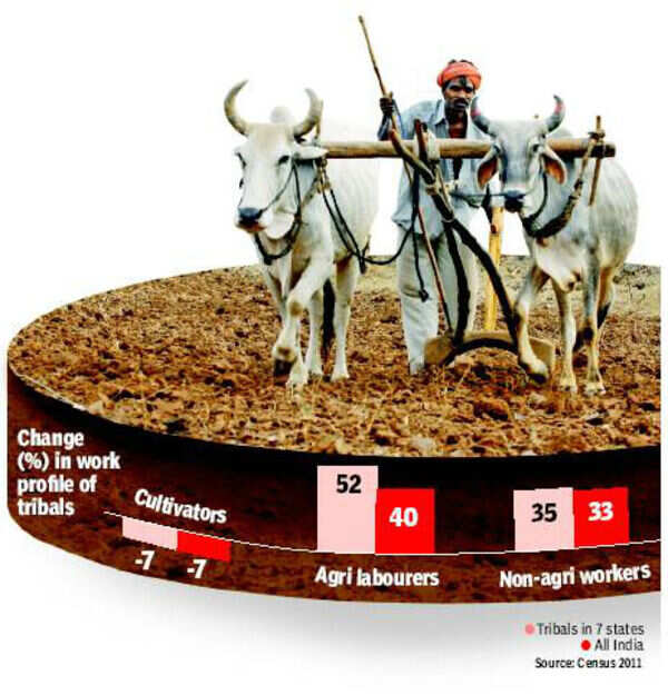 Tribals lose land, forced to become farm workers | India News - Times ...